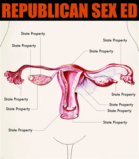 Republican Sex Ed Imgflip Republican Sex Ed Imgflip
