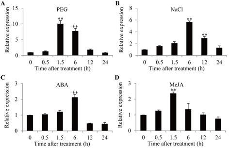 Expression Patterns Of Gmtip16 Under Drought Salt Aba And Meja