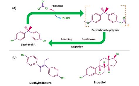 A Synthesis Of Polycarbonate Polymer From Bisphenol A And Its Download Scientific Diagram