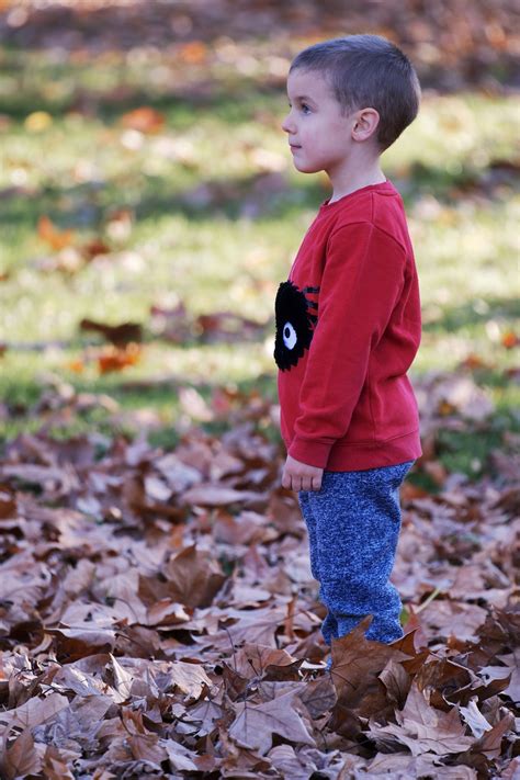 Enfant Garçon En Plein Air Photo Gratuite Sur Pixabay Pixabay