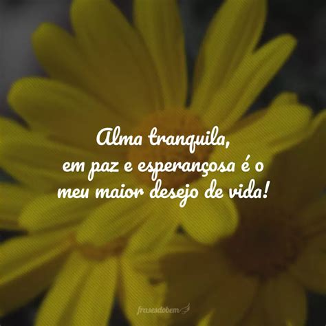 35 Frases De Paz E Esperança Para Acreditar Em Dias Melhores