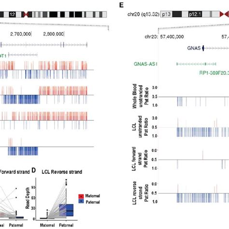 Stranded Rna Seq Data Provides Improved Resolution Of Imprinting At Download Scientific Diagram