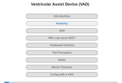 Ventricular Assist Device Vad