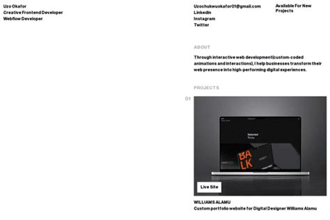 Uzochukwu Okafor Portfolio Webflow