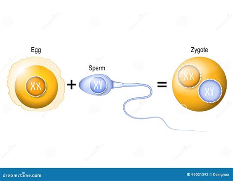 Haploid Cartoons Illustrations And Vector Stock Images 115 Pictures To Download From