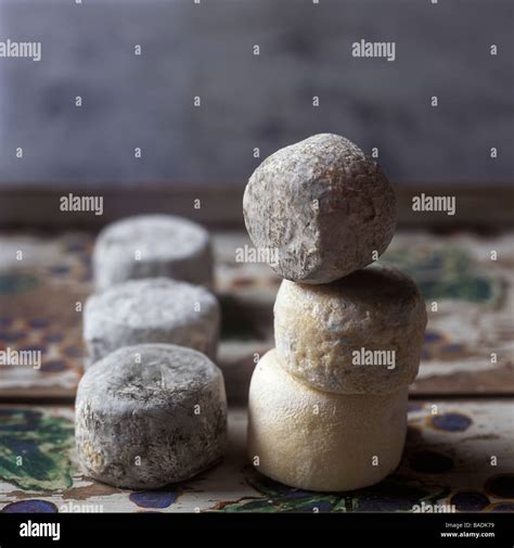 France Cher Crottin De Chavignol Aoc Cheese Design By Valerie Lhomme