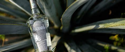 Tequila Honorable Blanco Corporación Ansan