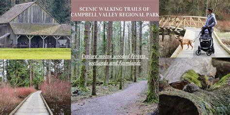Scenic Walking Trails Of Campbell Valley Regional Park