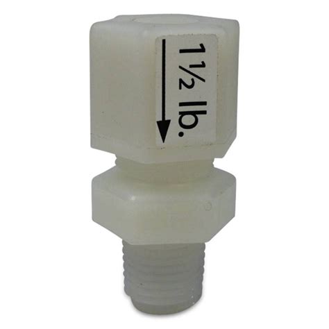 Ultrapure 1008011 25mpt Check Valve