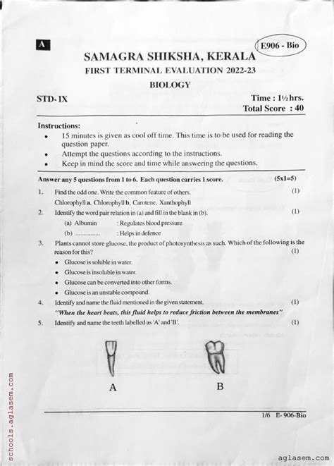 Class 9 Biology Onam Exam Question Paper 2024 Pdf Kerala Std 9