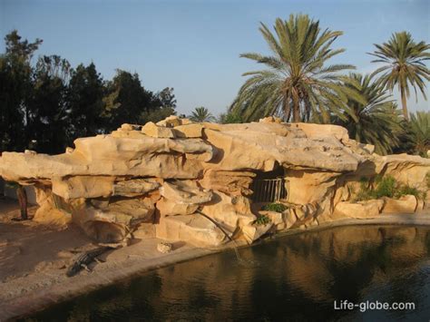 Djerba Explore Park On Djerba Island Tunisia Crocodile Farm