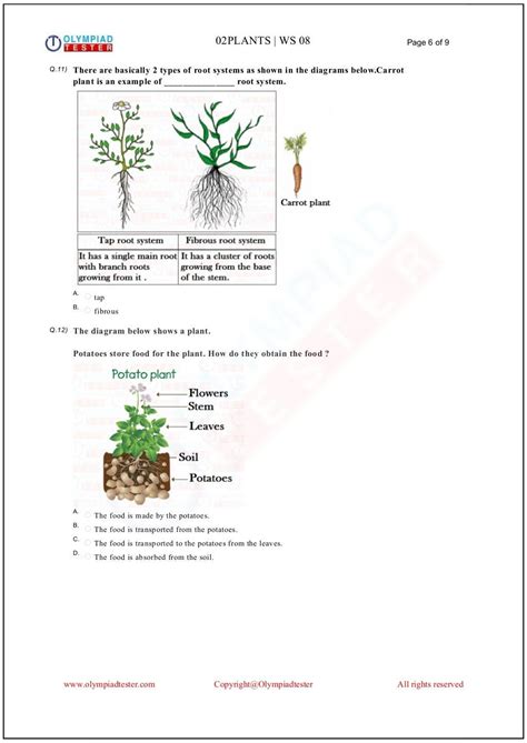 Class 2 Science Olympiad Sample Paper On Plants Set 02 Artofit