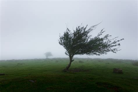 Le Vent Souffle Et Balaie Tout Ce Qui Ne Me Sert Plus