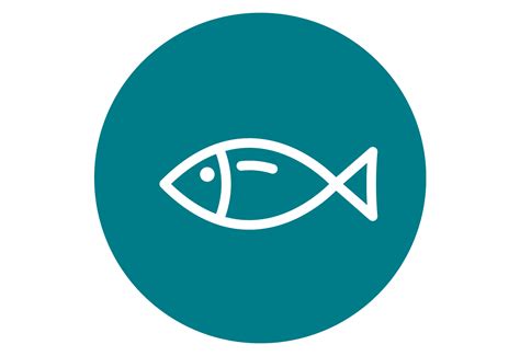 Plant Based Product Rollout Guides Gfi India