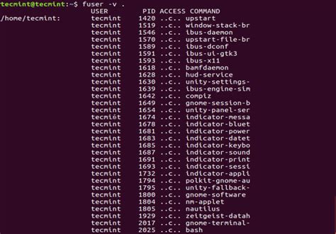 通过示例了解如何在 linux 中使用“fuser”命令