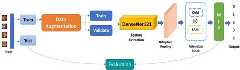 Attention Based Deep Learning Framework To Recognize Diabetes Disease From Cellular Retinal Images