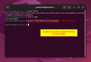 Quick Ways To Fix The Wget Command Not Found Error