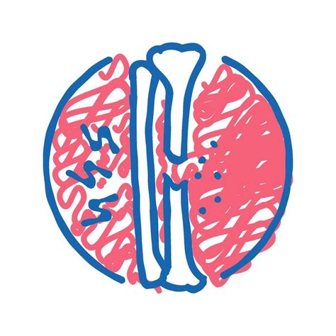 Tibia Fracture Osteoporosis Bone Icon Doodle Illustration 62464039