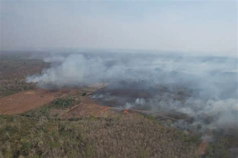 La Jornada Conafor Cifra En 204 Los Incendios Forestales Activos En