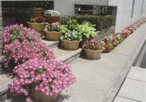 我家の前庭 ペンネーム：なとこ いしかわ緑の広場