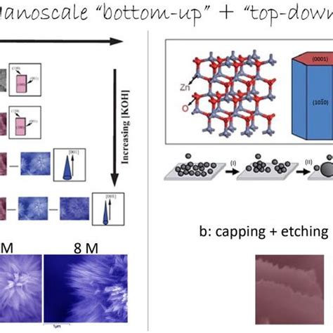 Schematic Illustration Of The Formation Process Of Zno 3d Hierarchical