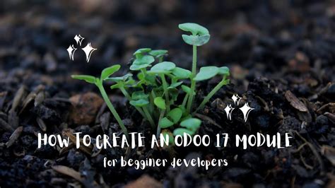 Create A Simple Module Odoo Odoo 170 Odoo Beginners Guide