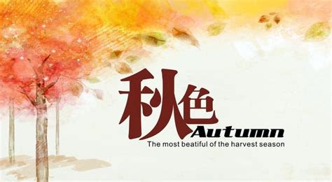 秋色睡起秋聲無覓處滿階梧葉日明中 每日頭條