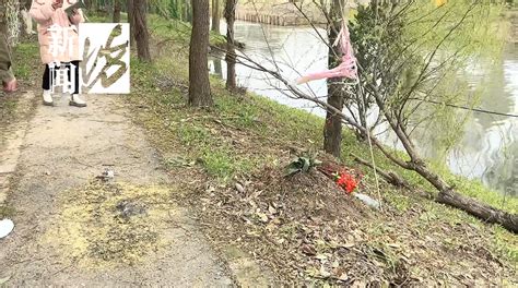 上海宝山一小区外突然多了座坟？系土堆，无骨灰物品，已铲平