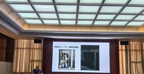 四川省首例基因编辑猪 猴异种心脏移植手术刷新国内纪录 腾讯新闻