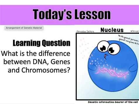 Genetic Material Teaching Resources