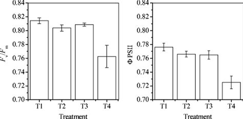Chlorophyll A Fluorescence Parameters Ratio Of Variable To Maximum