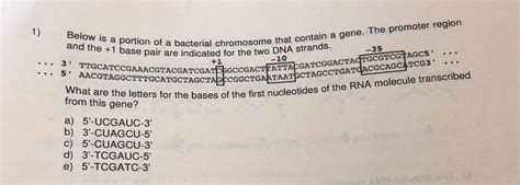 Solved Please Help Me Solve Questions Consider The Chegg Com