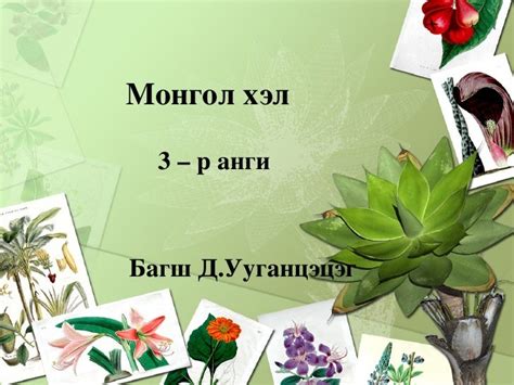 монгол хэл 3 р анги