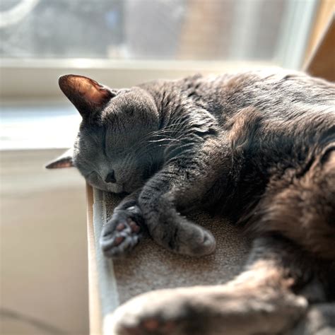 라벨핸즈 라벨디자인and라벨제작 장인👩🏻‍🎨 Labelhands • Instagram Photos And Videos