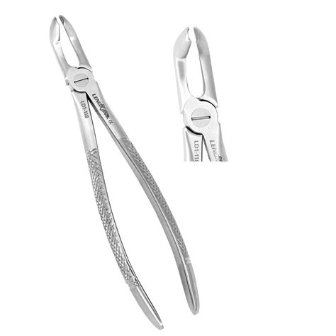 Extracting Forceps 79 Lower Third Molars Premium Dental Surgical