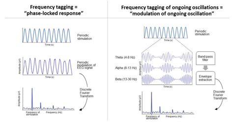 Illustration Of The Frequency Tagging Method As Well As Its Extension