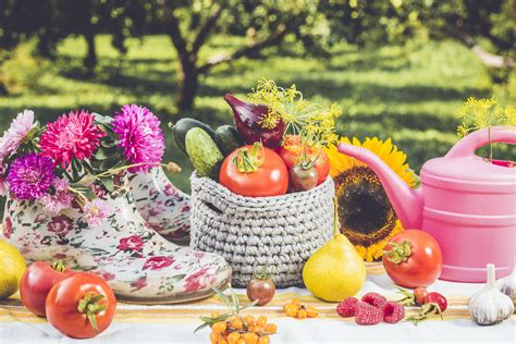 En Août Au Potager Bio Ce Quil Faut Semer Et Planter