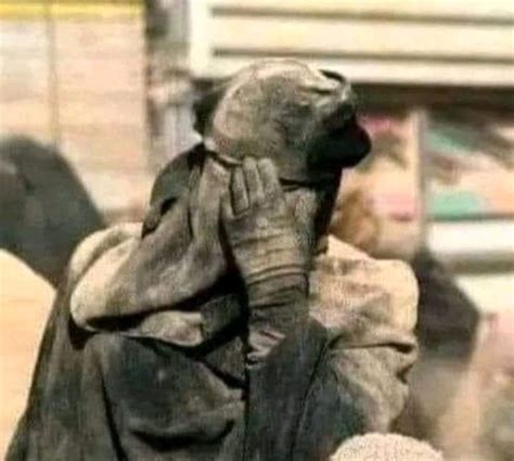 Mahrous Mohamed Posted On Linkedin