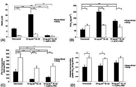 Figure 2 From Dynamic Compression Counteracts Il 1β Induced Release Of Nitric Oxide And Pge2by