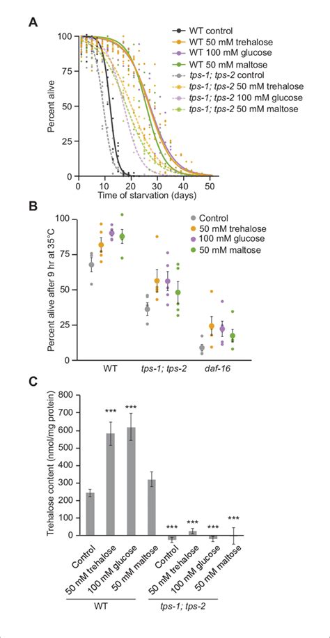 Interconversion Of Trehalose And Glucose Promotes Resistance To