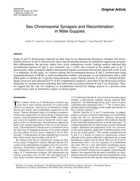 Pdf Sex Chromosome Synapsis And Recombination In Male Guppies