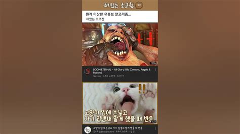 뭔가 이상한 유튜브 알고리즘ㅋㅋㅋ Youtube