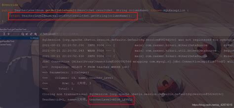 【保姆级】使用mybatis的typehandler优雅的存取自定义类型setnonnullparameter Csdn博客