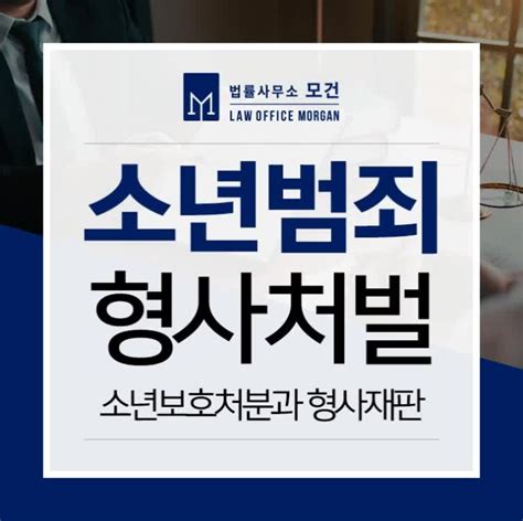 소년법전문변호사 폭행 상해 성범죄 등 소년사건전문 소년보호처분과 형사재판의 차이는 네이버 블로그