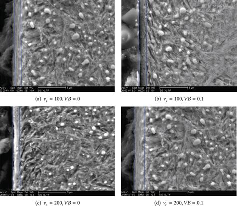 Sem Of The Microstructure Of The White Layer The White Layer Is Marked