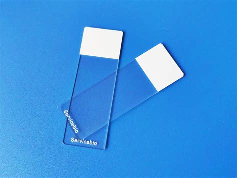 Adhesion Sample Slides Frozen Section Microscope Slide Standard Glass