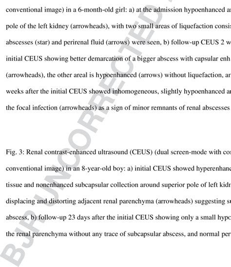 Renal Contrast Enhanced Ultrasound Ceus Dual Screen Mode With