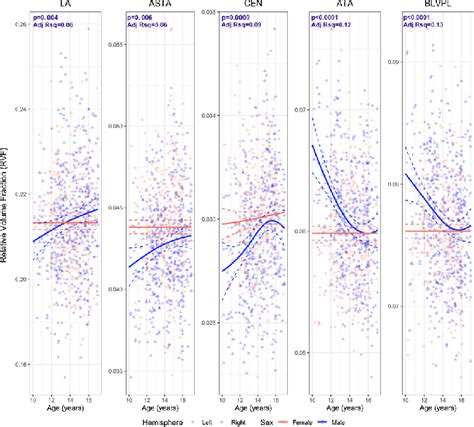 Sex Differences In Age Associations With Rvf Of The Amygdala Download Scientific Diagram
