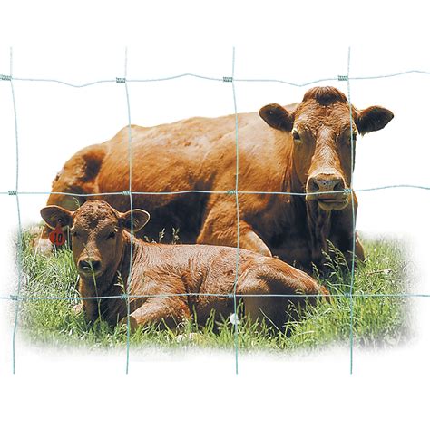Murdochs Hutchison Western Commercial Field Fence 47