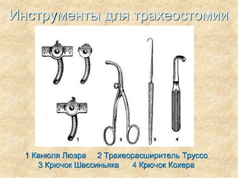 Топографическая анатомия и оперативные вмешательства на органах и ...